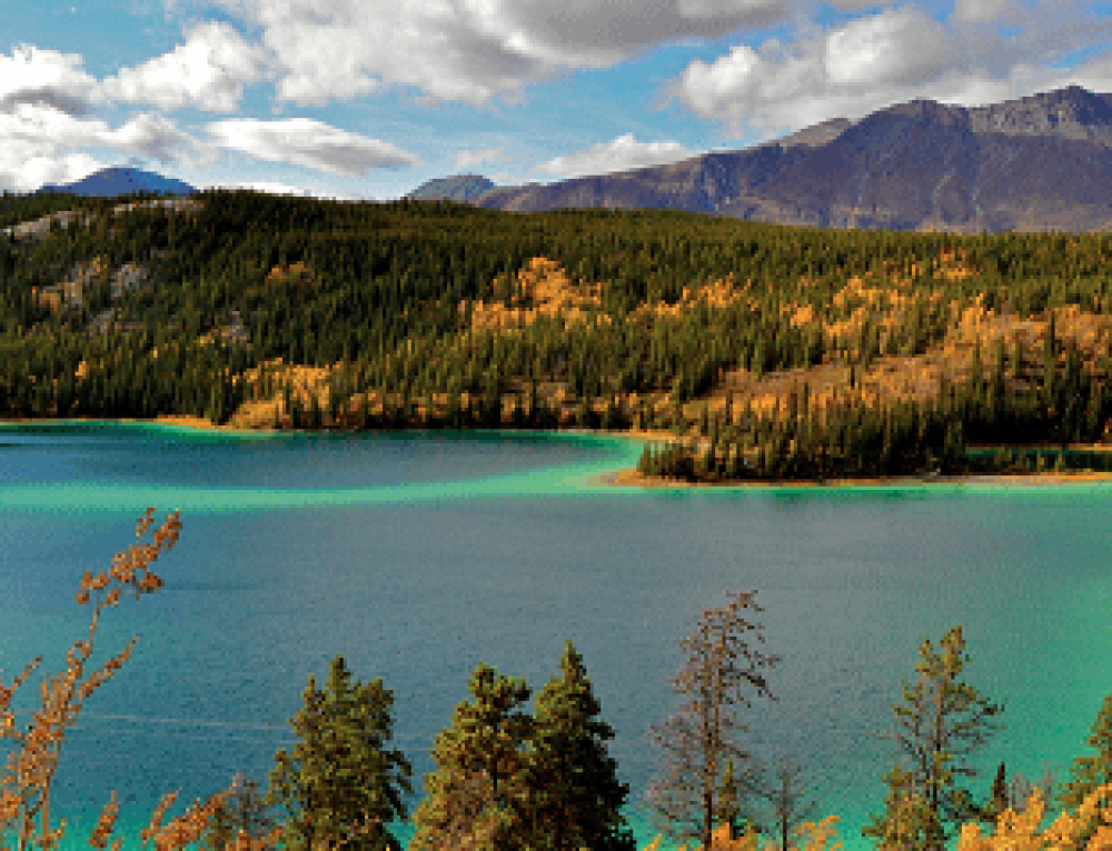 Parque Nacional de Jasper no Canadá - Turismo Canadá